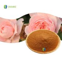 China High Quality 10:1 20:1 30:1 Rosa Chinensis Extract Powder Food Grade Water Soluble for sale