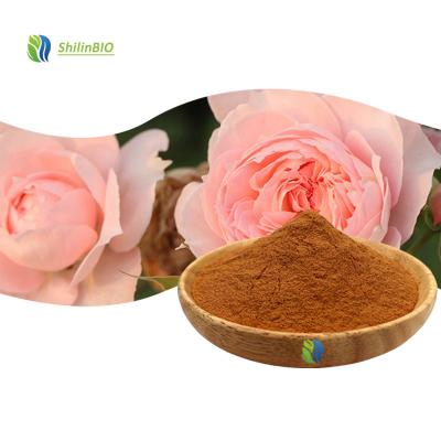 China High Quality 10:1 20:1 30:1 Rosa Chinensis Extract Powder Food Grade Water Soluble for sale