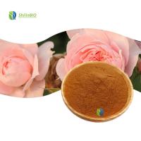 China High Quality 10:1 20:1 30:1 Rosa Chinensis Extract Powder Food Grade Water Soluble for sale