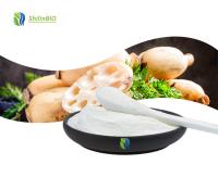 China SLBIO Factory Direct Lotus Root Powder Raw Material Lotus Root Powder High Quality Lotus Starch for sale