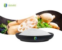 China SLBIO Factory Direct Lotus Root Powder Raw Material Lotus Root Powder High Quality Lotus Starch for sale