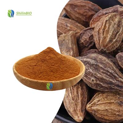 China SLBIO Supply High Quality 10:1 Terminalia Chebula Extract Powder ISO/HACCP for sale