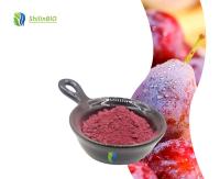 China SLBIO Factory Supply Bulk Prune Powder Prune  Fruit Powder Prune  Juice Powder for sale