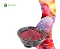 China SLBIO Factory Supply Bulk Prune Powder Prune  Fruit Powder Prune  Juice Powder for sale