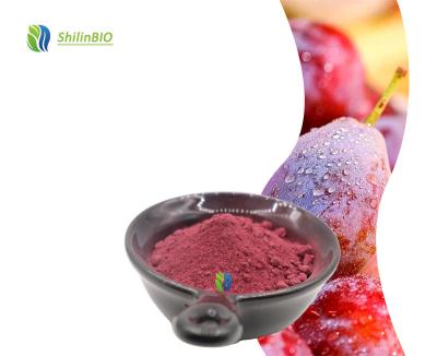 China SLBIO Factory Supply Bulk Prune Powder Prune  Fruit Powder Prune  Juice Powder for sale