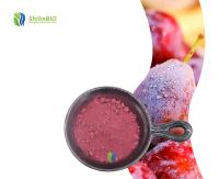 China SLBIO Factory Supply Bulk Prune Powder Prune  Fruit Powder Prune  Juice Powder for sale