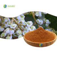 China HIgh Quality 10::1 20::1 Rhus Chinensis Mill. Extract Powder ISO/HACCP for sale