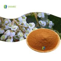 China HIgh Quality 10::1 20::1 Rhus Chinensis Mill. Extract Powder ISO/HACCP for sale