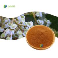 China HIgh Quality 10::1 20::1 Rhus Chinensis Mill. Extract Powder ISO/HACCP for sale