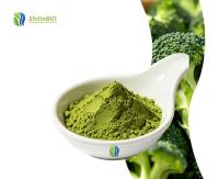 China SLBIO Factory Supply Food Grade Water Soluble Broccoli Extract Powder Herbal Extract Drum Packaging for sale