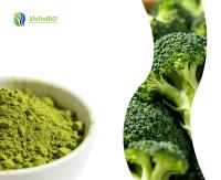 China SLBIO Factory Supply Food Grade Water Soluble Broccoli Extract Powder Herbal Extract Drum Packaging for sale