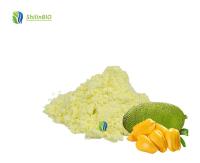 China SLBIO Supply Wholesale Price Jackfruit Powder Jackfruit Juice/dried Powder Jackfruit Seed Powder for sale