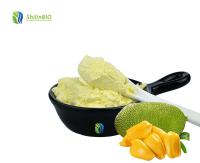 China SLBIO Supply Wholesale Price Jackfruit Powder Jackfruit Juice/dried Powder Jackfruit Seed Powder for sale