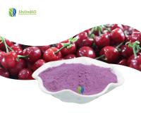 China SLBIO Supply High Quality Food Grade Herbal Extract Cherry Fruit Powder Solvent Extraction in Drum or Can Packaging for sale