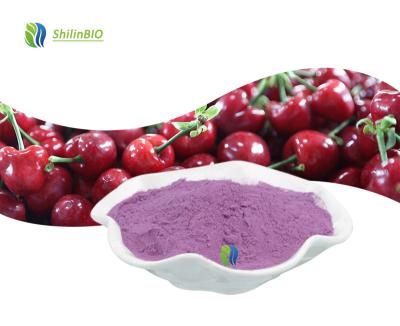 China SLBIO Supply High Quality Food Grade Herbal Extract Cherry Fruit Powder Solvent Extraction in Drum or Can Packaging for sale