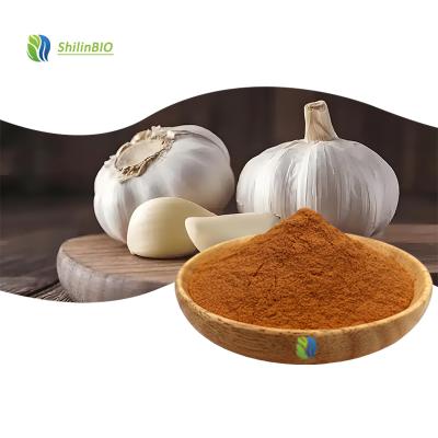 China High Quality Garlic Extract Powder 10:1 20:1 30:1 Allium Sativum Extract Water Soluble for sale