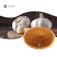 China High Quality Garlic Extract Powder 10:1 20:1 30:1 Allium Sativum Extract Water Soluble for sale