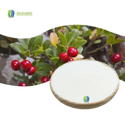 China High Quality 90% Ursolic Acid Powder Uva Ursi Leaf Extract Bearberry Extract ISO/HACCP for sale