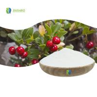 China High Quality 90% Ursolic Acid Powder Uva Ursi Leaf Extract Bearberry Extract ISO/HACCP for sale