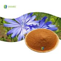 China High Quality 1%-4%  Cichoric Acid Powder CAS 6537-80-0 ISO/HACCP for sale