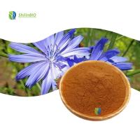 China High Quality 1%-4%  Cichoric Acid Powder CAS 6537-80-0 ISO/HACCP for sale