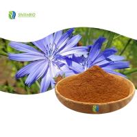 China High Quality 1%-4%  Cichoric Acid Powder CAS 6537-80-0 ISO/HACCP for sale