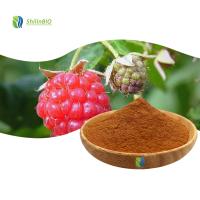 China High Quality 10:1 20:1 Fructus Rubi Fruit Extract Rubus Idaeus Extract Raspberries Extract Powder for sale