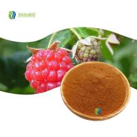China High Quality 10:1 20:1 Fructus Rubi Fruit Extract Rubus Idaeus Extract Raspberries Extract Powder for sale