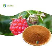 China High Quality 10:1 20:1 Fructus Rubi Fruit Extract Rubus Idaeus Extract Raspberries Extract Powder for sale