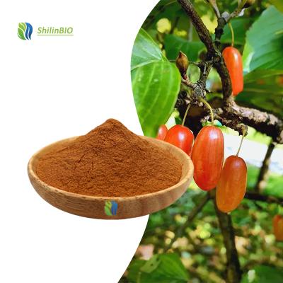 China SLBIO Supply 10:1 20:1 Cornus Officinalis Fruit Extract Powder Food Grade Water Soluble Plant Extract for sale