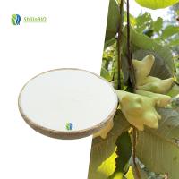 China High Quality 50% 90% 99% Gallic Acid Powder CAS 149-91-7 Gallnut Extract Powder for sale