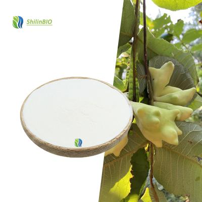 China High Quality 50% 90% 99% Gallic Acid Powder CAS 149-91-7 Gallnut Extract Powder for sale