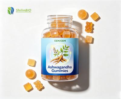 China Private Label ISO Certified Ashwagandha Gummies for Adults Daily Immune Digestion Support BERRY BLEND 60 Count Supplement for sale