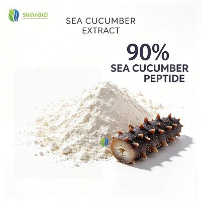 China High Quality 90% Sea Cucumber Peptide Powder Food Grade Sea Cucumber Extract for sale