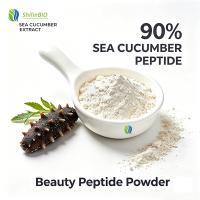 China High Quality 90% Sea Cucumber Peptide Powder Food Grade Sea Cucumber Extract for sale