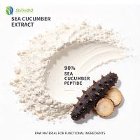 China High Quality 90% Sea Cucumber Peptide Powder Food Grade Sea Cucumber Extract for sale