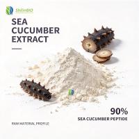 China High Quality 90% Sea Cucumber Peptide Powder Food Grade Sea Cucumber Extract for sale