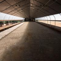 China 0.13mm Black White Film Light Deprivation Greenhouse With Blackout System for sale