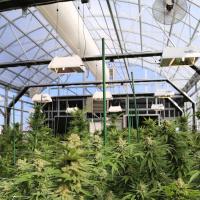 China LED Lighting System Light Deprivation Greenhouse for Growing Crops for sale