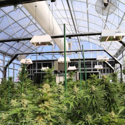 China LED Lighting System Light Deprivation Greenhouse for Growing Crops for sale