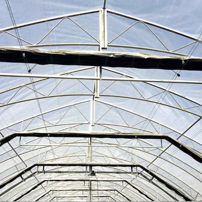 China Medical Plant Growing Fully Auto Greenhouse Led Grow Light 100% Automated Light Deprivation Blackout Greenhouse for sale
