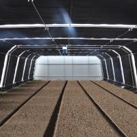 China Agricultural Polytunnel Automated Light Deprivation Herb Greenhouse for sale