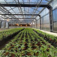 China LED Light Deprivation Greenhouse With Shading And Security System for sale