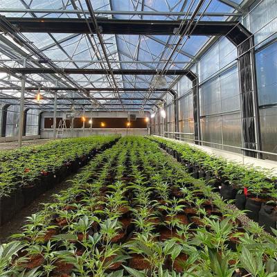 China LED Light Deprivation Greenhouse With Shading And Security System for sale