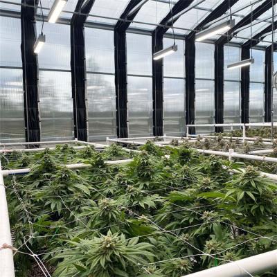 China Automatic LED Grow Light Dep System Large Polycarbonate Greenhouse for sale