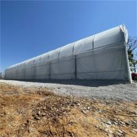 China Agricultural Single Span Tunnel Plastic Film DIY Backyard Light Dep Greenhouse for sale
