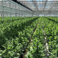 China 30*100Ft High Tunnel Automated Greenhouse Blackout Systems Kit for sale