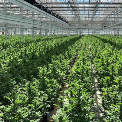 China 30*100Ft High Tunnel Automated Greenhouse Blackout Systems Kit for sale