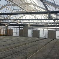 China 100% Blackout Auto Light Dep Greenhouse With Blackout System Height 5M for sale