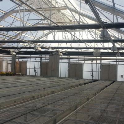 China 100% Blackout Auto Light Dep Greenhouse With Blackout System Height 5M for sale